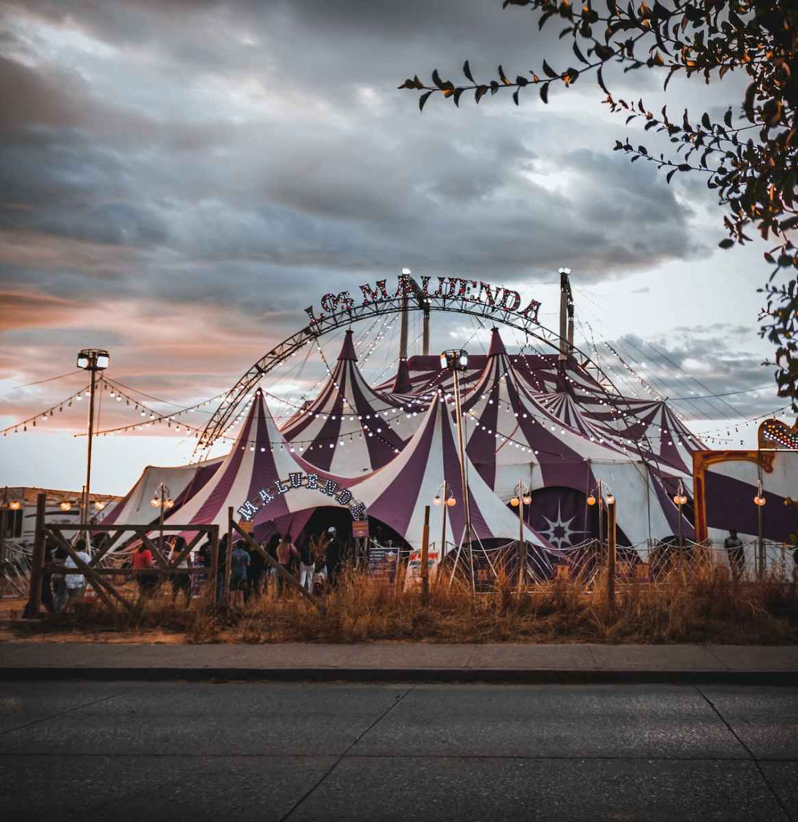 Book Review: The First Bright Thing – Paradise is a Library